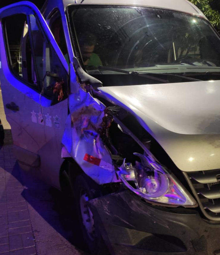 Van atropela cavalo e derruba adolescentes de 13 e 16 anos na GO-237 em ...